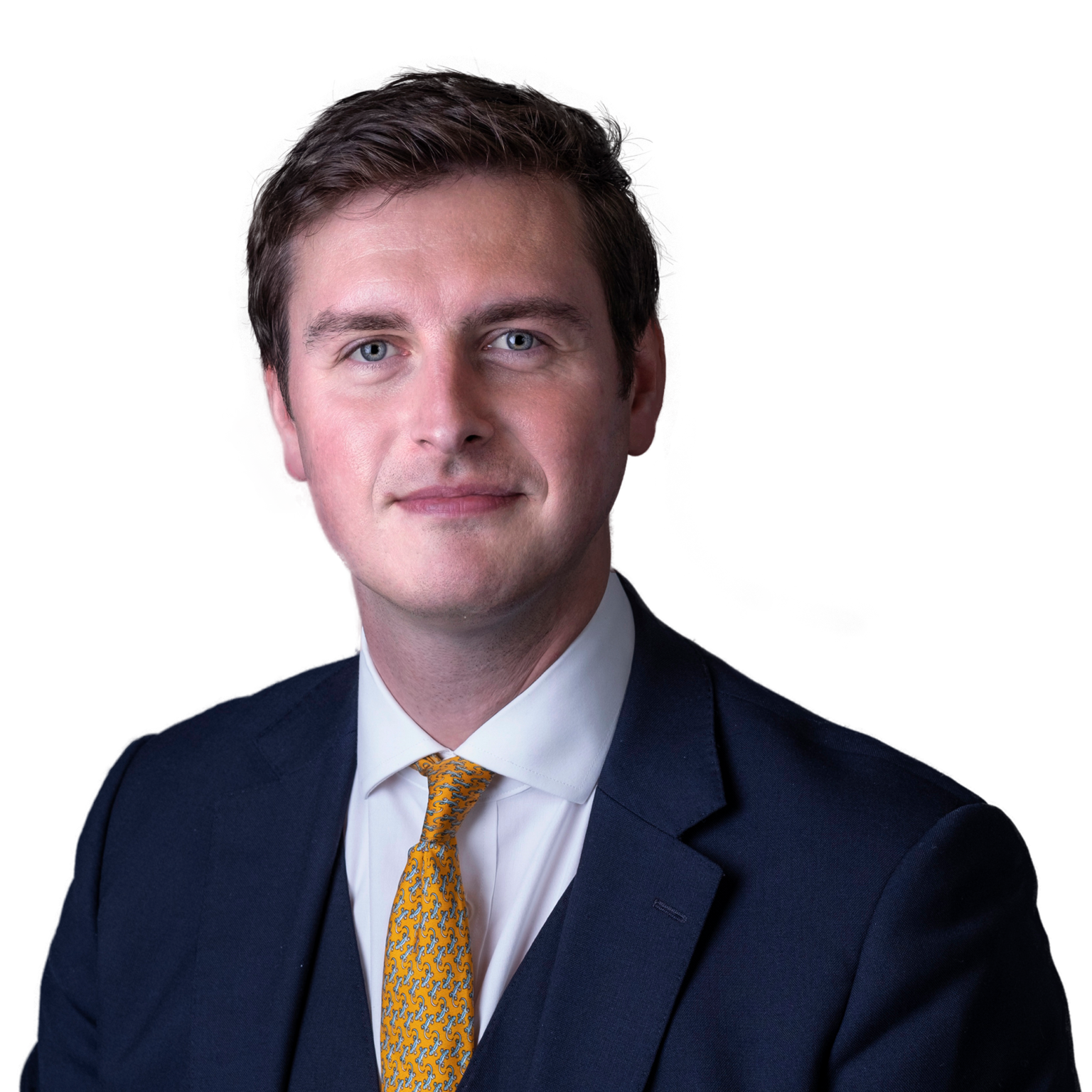 Mark Watson - Mountford Chambers - London Barrister